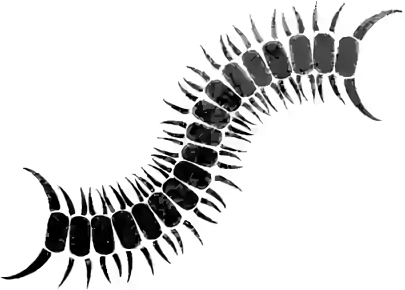 Worm | Kenganverse Wiki | Fandom