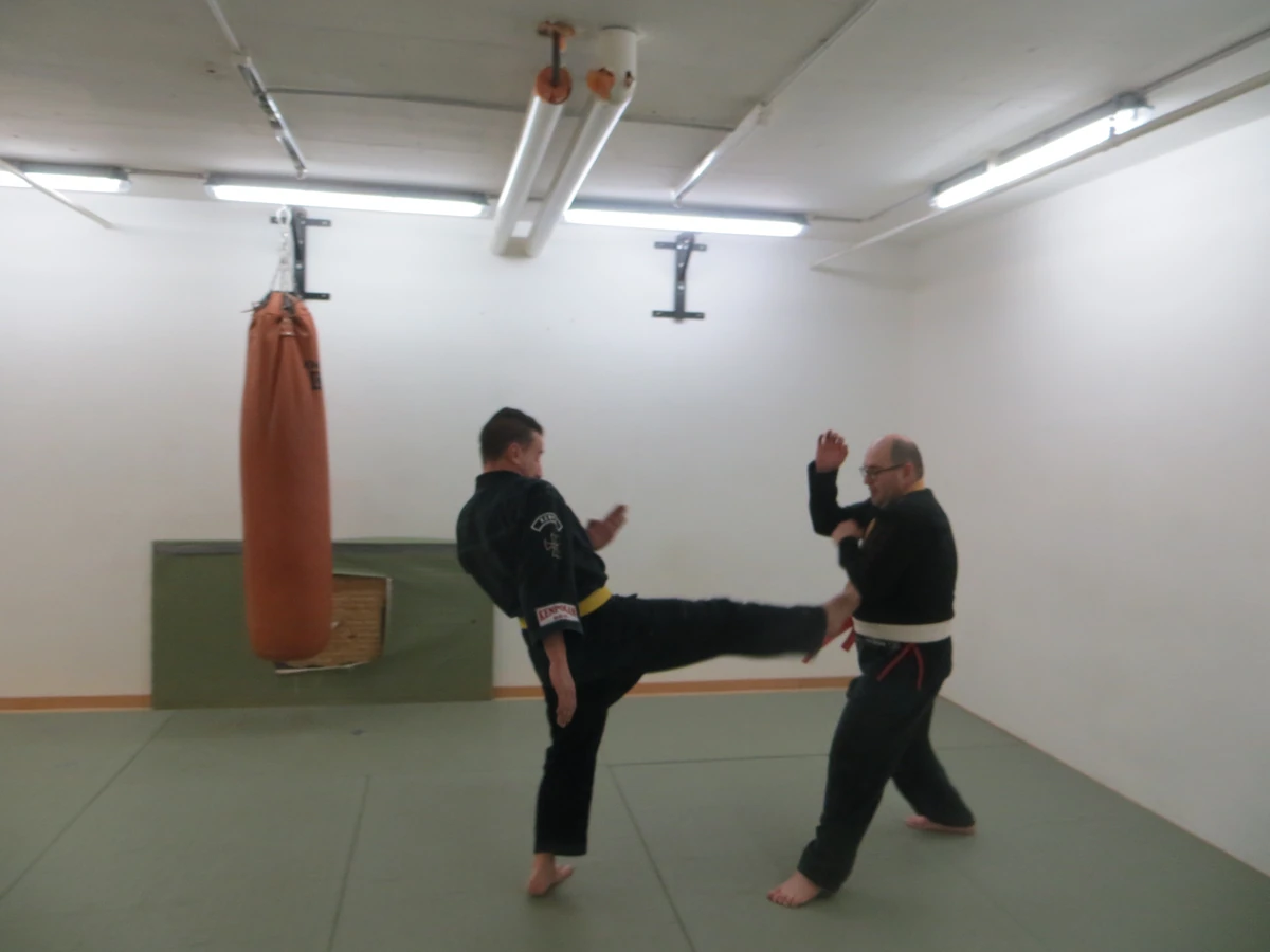 Mae geri | Wiki KenpokanDojo | Fandom