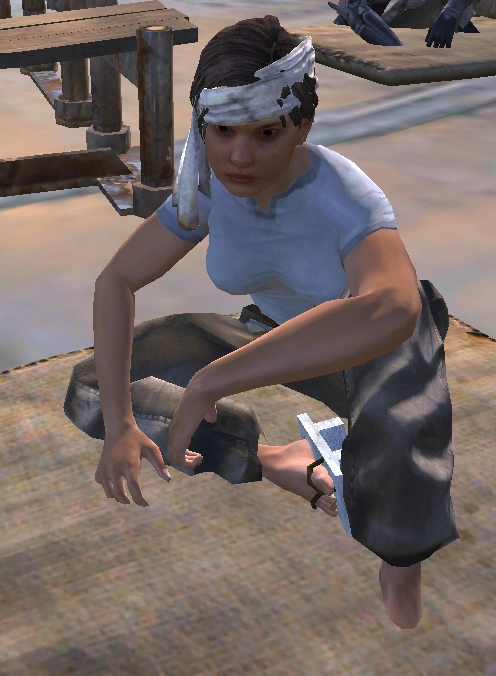 Soman | Kenshi Wiki | Fandom