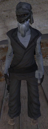 Shinobi Trader | Kenshi Wiki | Fandom