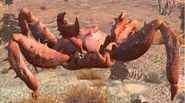 Crab | Kenshi Wiki | Fandom