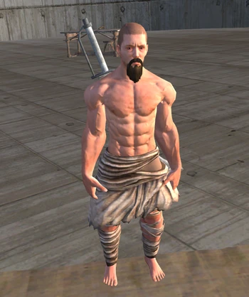 Maestro Sabandija | Wiki Kenshi | Fandom