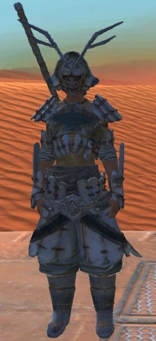 Samurai Gate Guard | Kenshi Wiki | Fandom