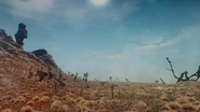 High Bonefields | Kenshi Wiki | Fandom