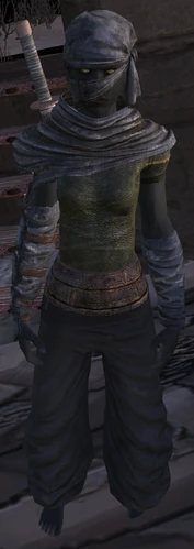 Thief Boss | Kenshi Wiki | Fandom