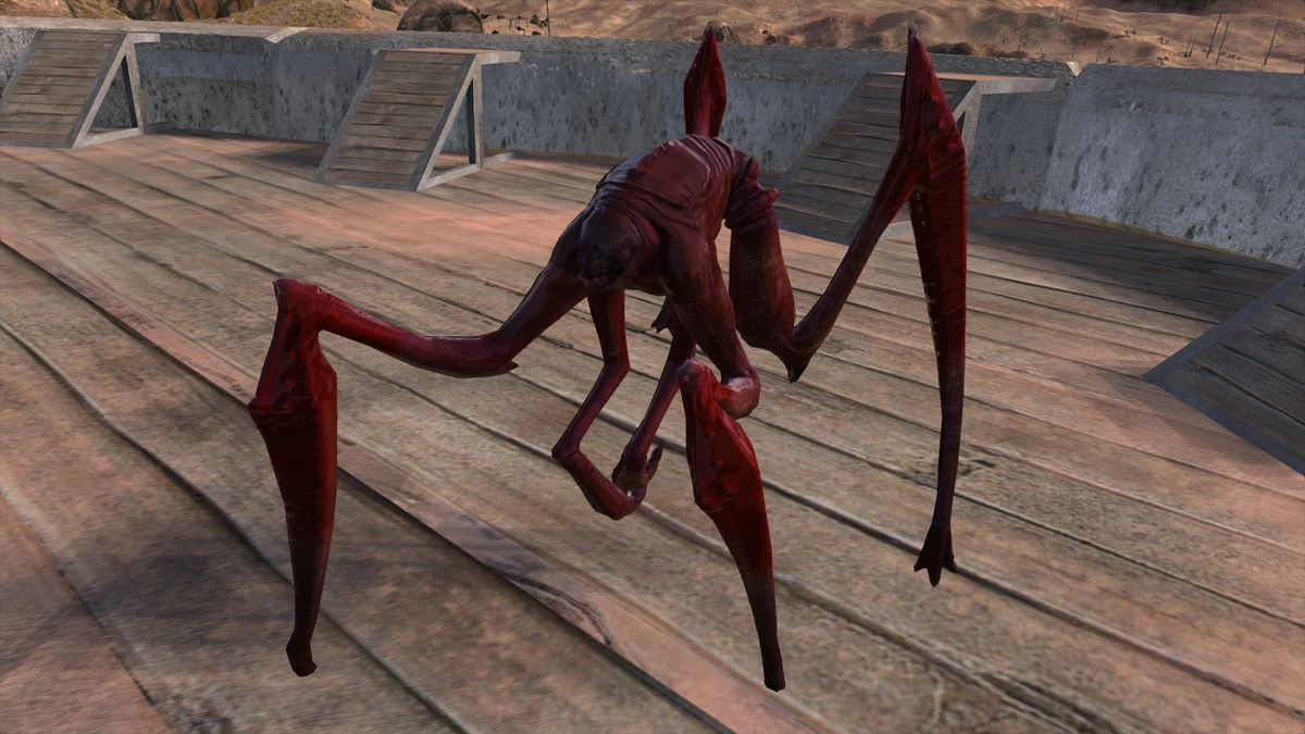Elder Blood Spider | Kenshi Wiki | Fandom