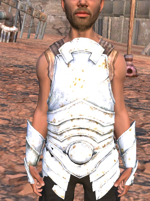 Holy Chest Plate | Kenshi Wiki | Fandom