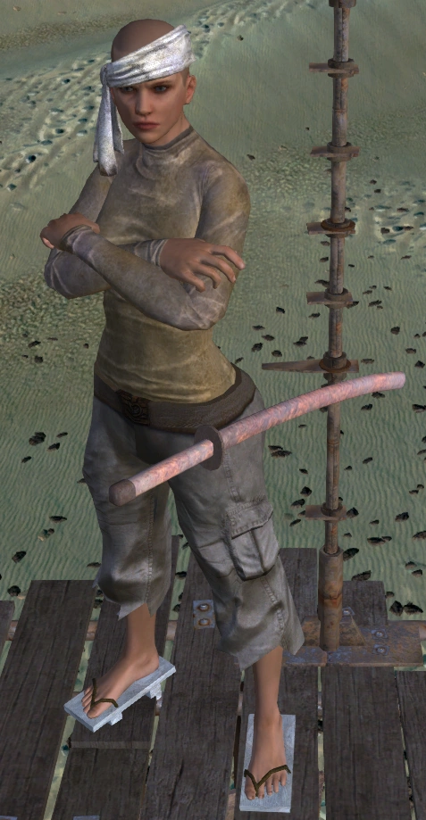 Holy Nation Female Adventurer | Kenshi Wiki | Fandom