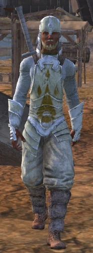 High Paladin | Kenshi Wiki | Fandom