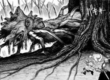 Angvall Selma | Centuria Wiki | Fandom