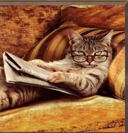 PLT - Cat | Keppl Studios Wiki | Fandom