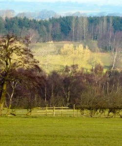 Faolan | Keren D&D World Wiki | Fandom