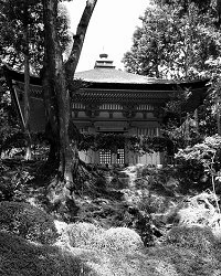 Temple of Ehlonna | Keren D&D World Wiki | Fandom