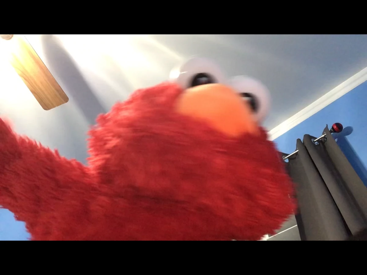 Elmo | Kermit and Elmo’s adventure Wiki | Fandom