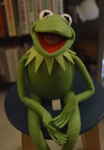 Kermit | Kermitism Wiki | Fandom