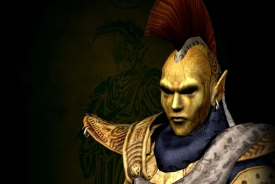 ordinator light armor