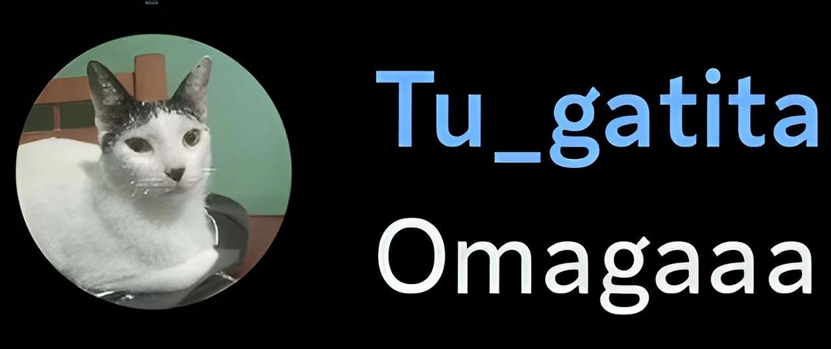 Omagaaa | Wiki Kertopedia | Fandom