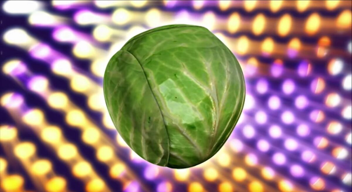 Sprout | Kerwhizz Wiki | Fandom