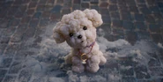 Cauli Dog | Kevin the carrot Wiki | Fandom