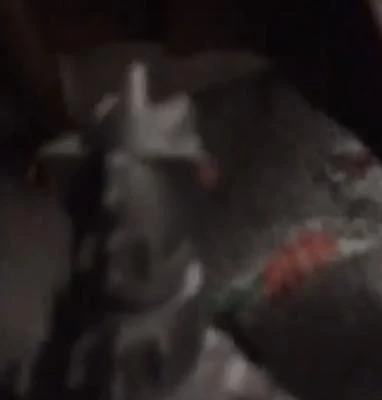 Mecha Goji | Kevinandcarolopda Wiki | Fandom