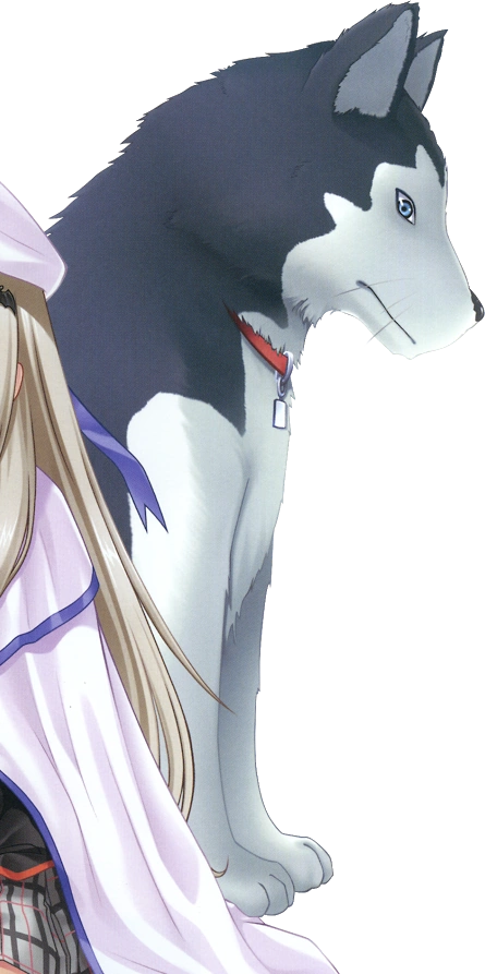 Strelka | Wiki Key | Fandom