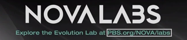 Partner Content-Nova Labs | Khan Academy Wiki | Fandom