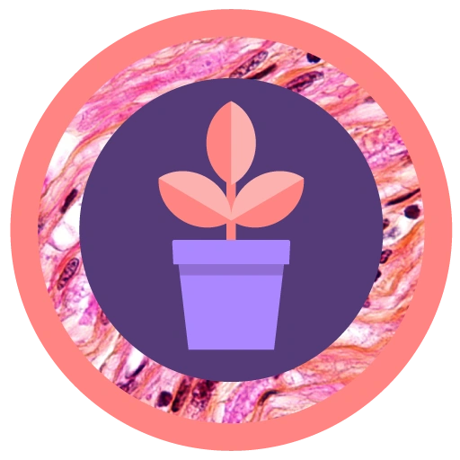 Supercharge Your Growth | Khan Academy Wiki | Fandom