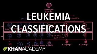 Leukemia classifications | Khan Academy Wiki | Fandom