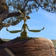 Mantis | Khumba Wiki | Fandom