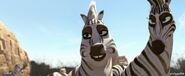 Khumba (character) | Khumba Wiki | Fandom