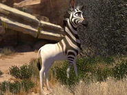 Khumba (character) | Khumba Wiki | Fandom