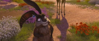 Fluffy | Khumba's Mission Adventure TV Series Wiki | Fandom