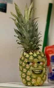 Pineapple (Pain-Apple) | Khyler’s Imagination Tank Wiki | Fandom