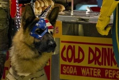 Kick Ass 2 Insect Man