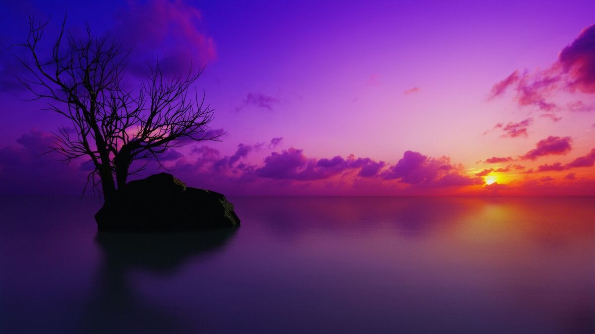 Purple Twilight | Kid Celephais Wiki | Fandom