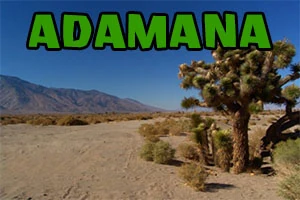Adamana | KidA's Survivor Wiki | Fandom