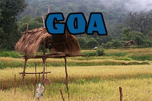 Goa | KidA's Survivor Wiki | Fandom