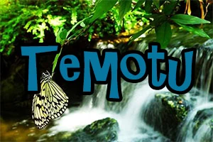 Temotu | KidA's Survivor Wiki | Fandom