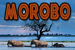 Morobo | KidA's Survivor Wiki | Fandom