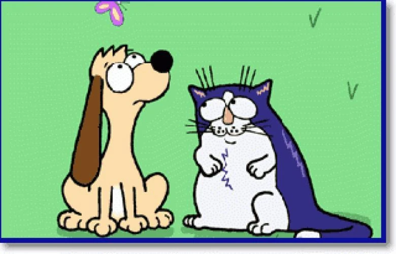 Binka | Kids Central Wiki | Fandom