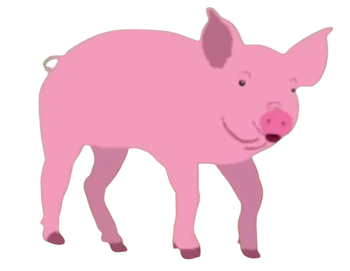 Pig | Kids Learning Tube Wiki | Fandom