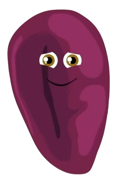 Spleen | Kids Learning Tube Wiki | Fandom