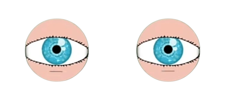 Eyes | Kids Learning Tube Wiki | Fandom