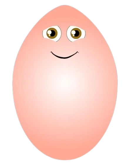 Amygdala | Kids Learning Tube Wiki | Fandom