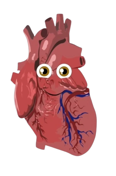 Heart | Kids Learning Tube Wiki | Fandom