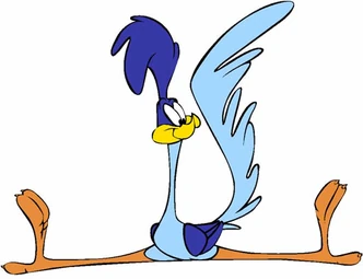 The Road Runner | Kids World's Adventures Wiki | Fandom
