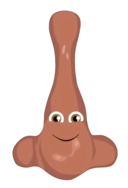 Nose | Kids Learning Tube Wiki | Fandom