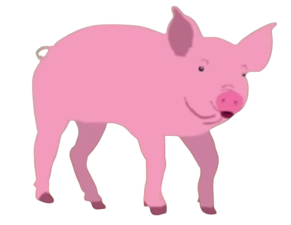 Pig | Kids Learning Tube Wiki | Fandom