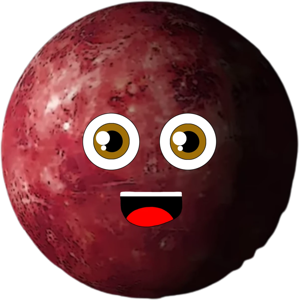 Gonggong | Kids Learning Tube Wiki | Fandom