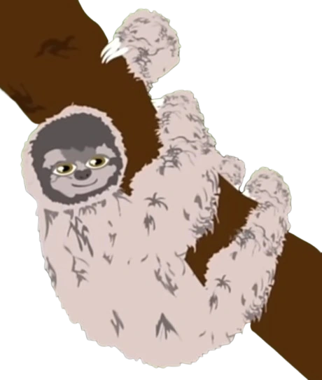 3 Toed Sloth | Kids Learning Tube Wiki | Fandom